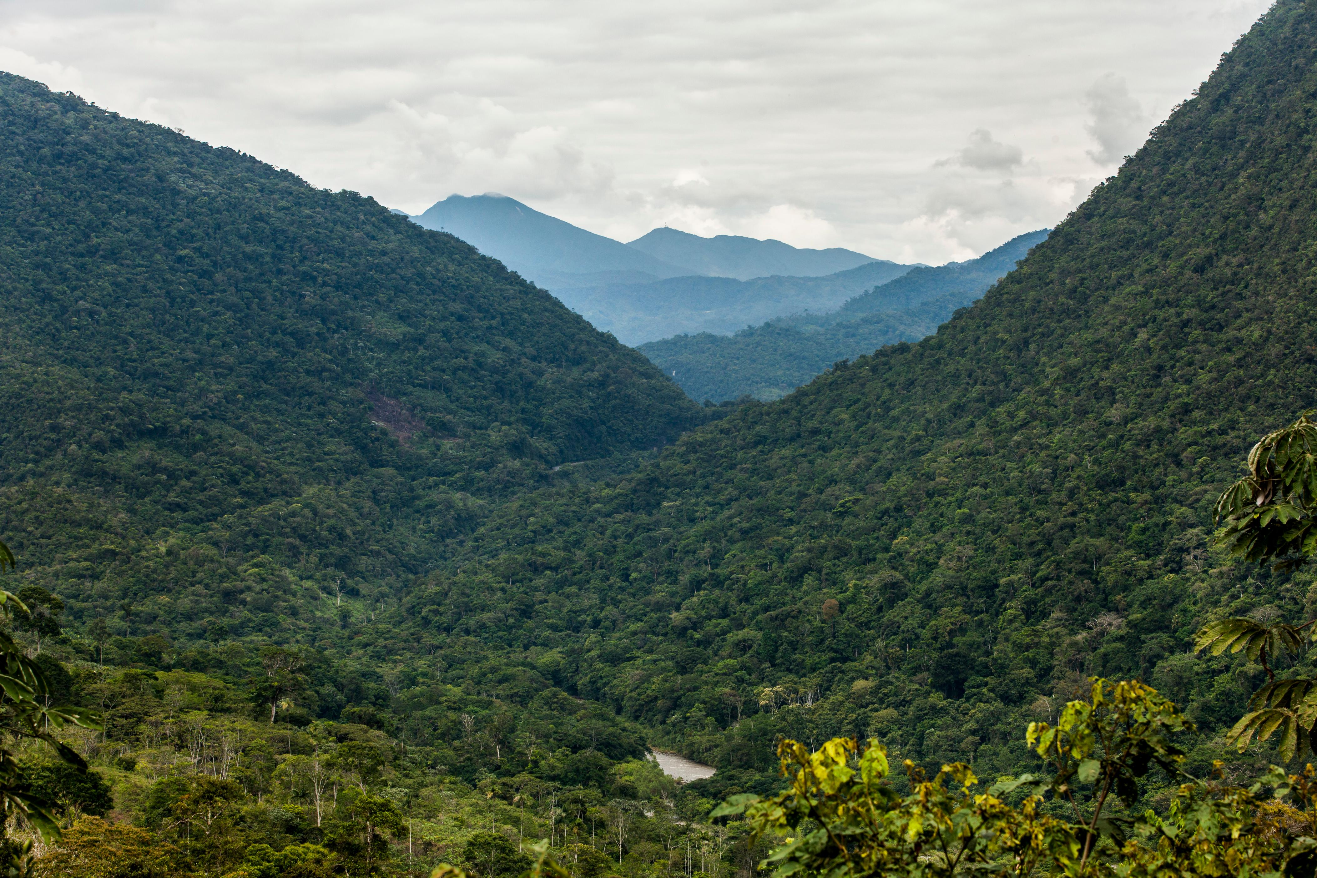 When protecting nature helps build peace | Conservation International