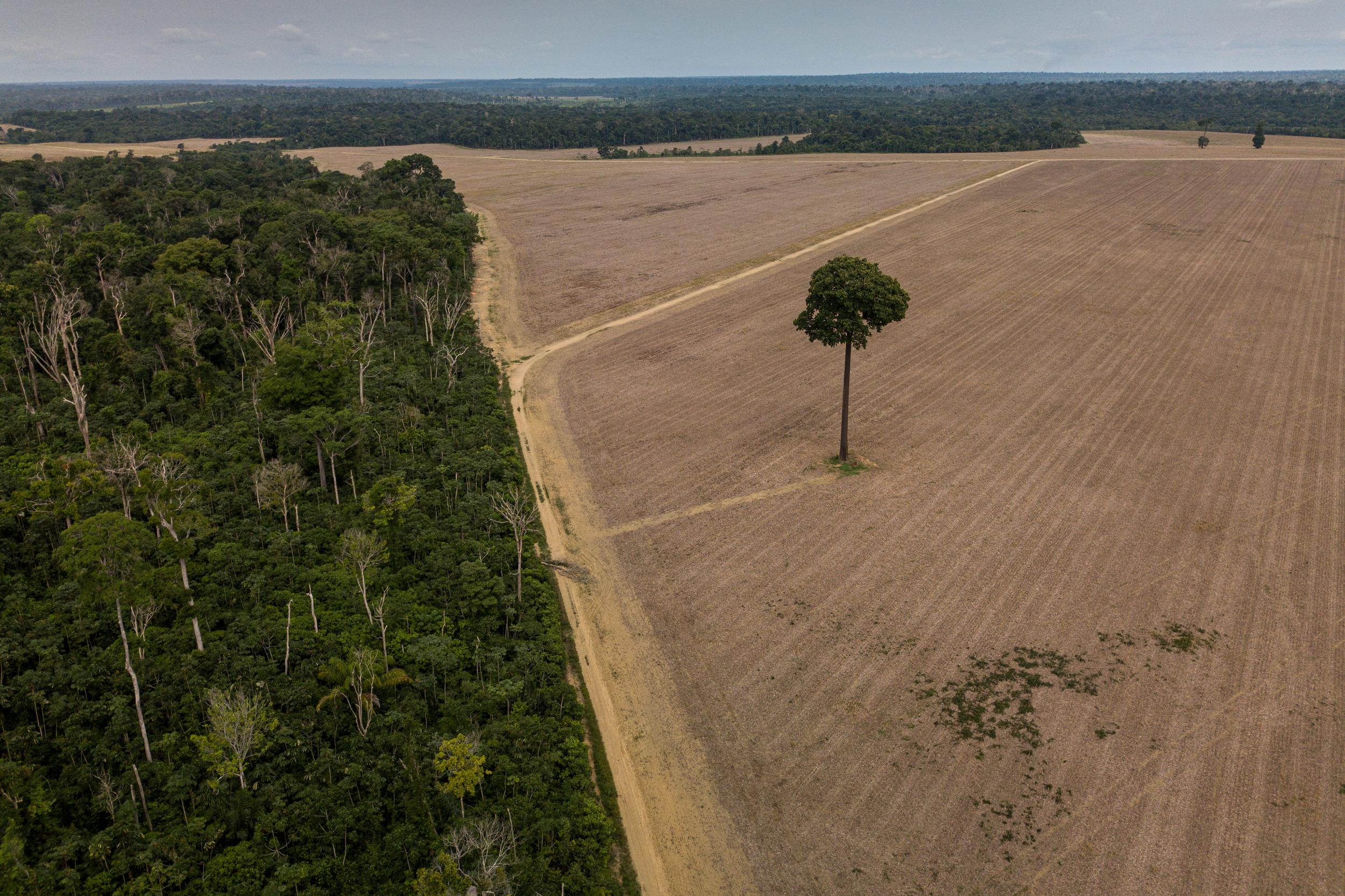 New report: Without nature, there is no path to a climate-safe future ...