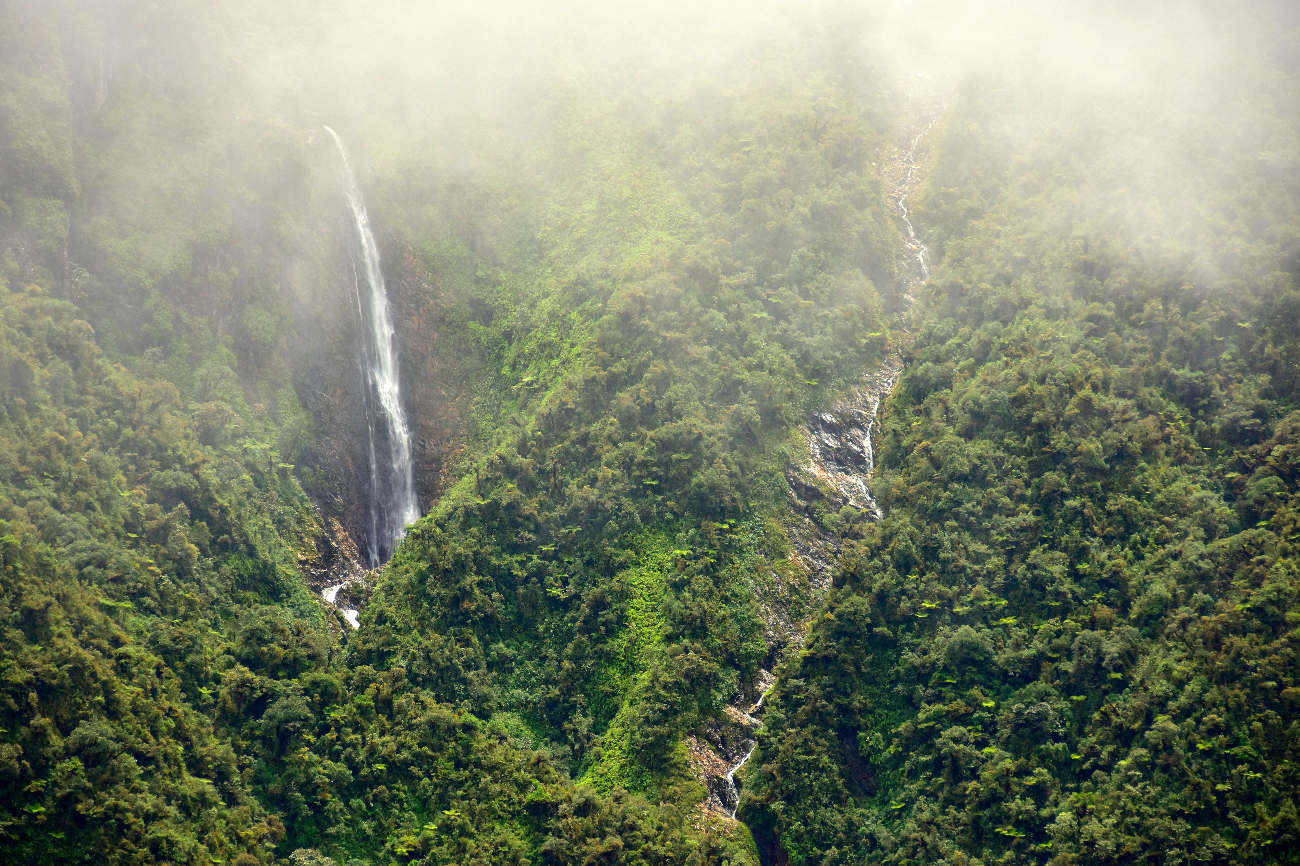 Trove of new species discovered in hidden Bolivian valley ...