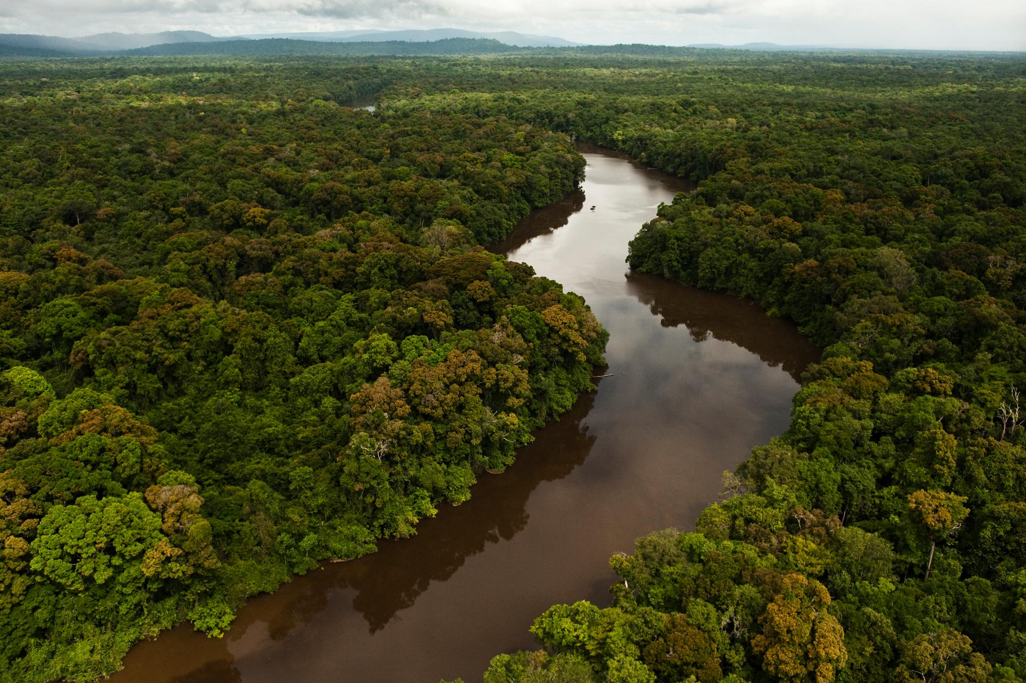 Brazil | Conservation International