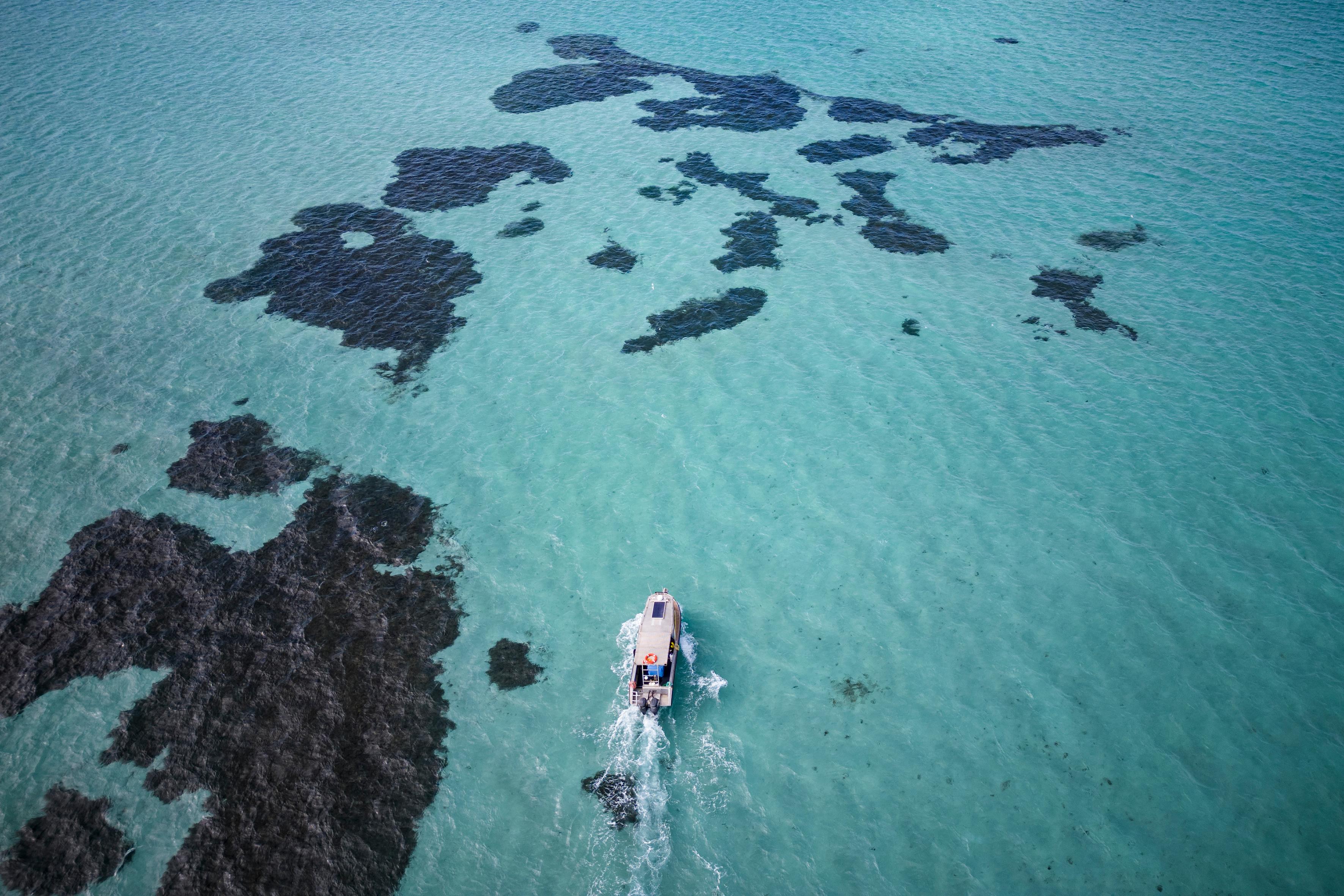 Australia | Conservation International