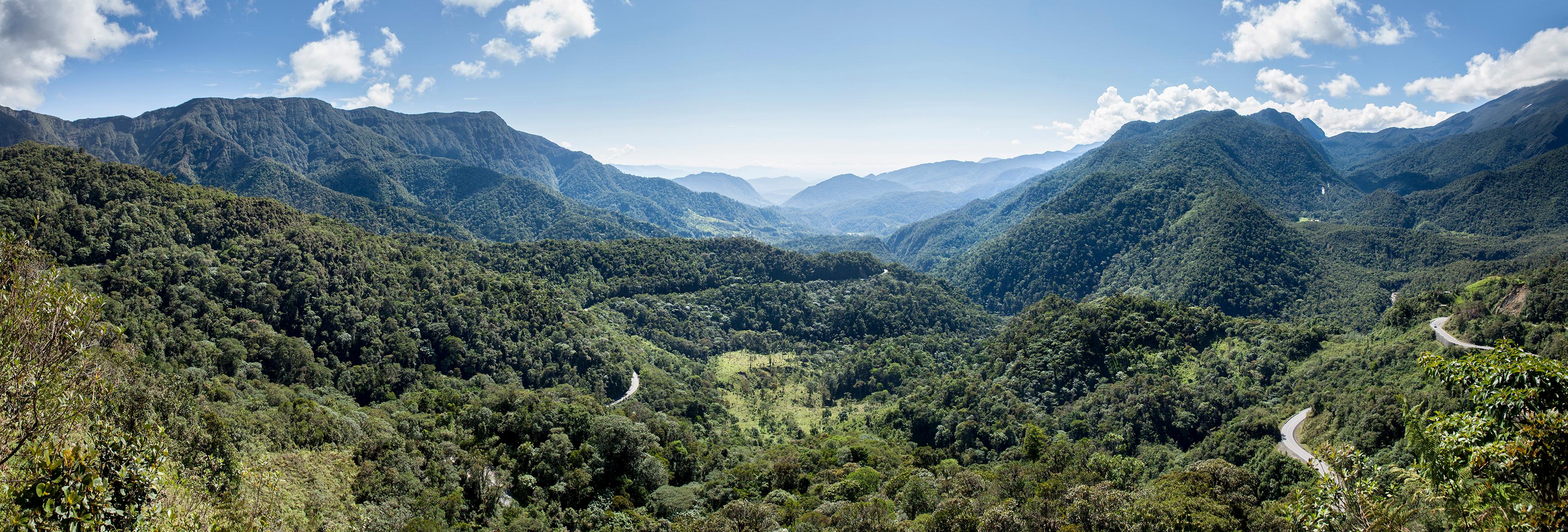 Alto Mayo Carbon Project | Conservation International
