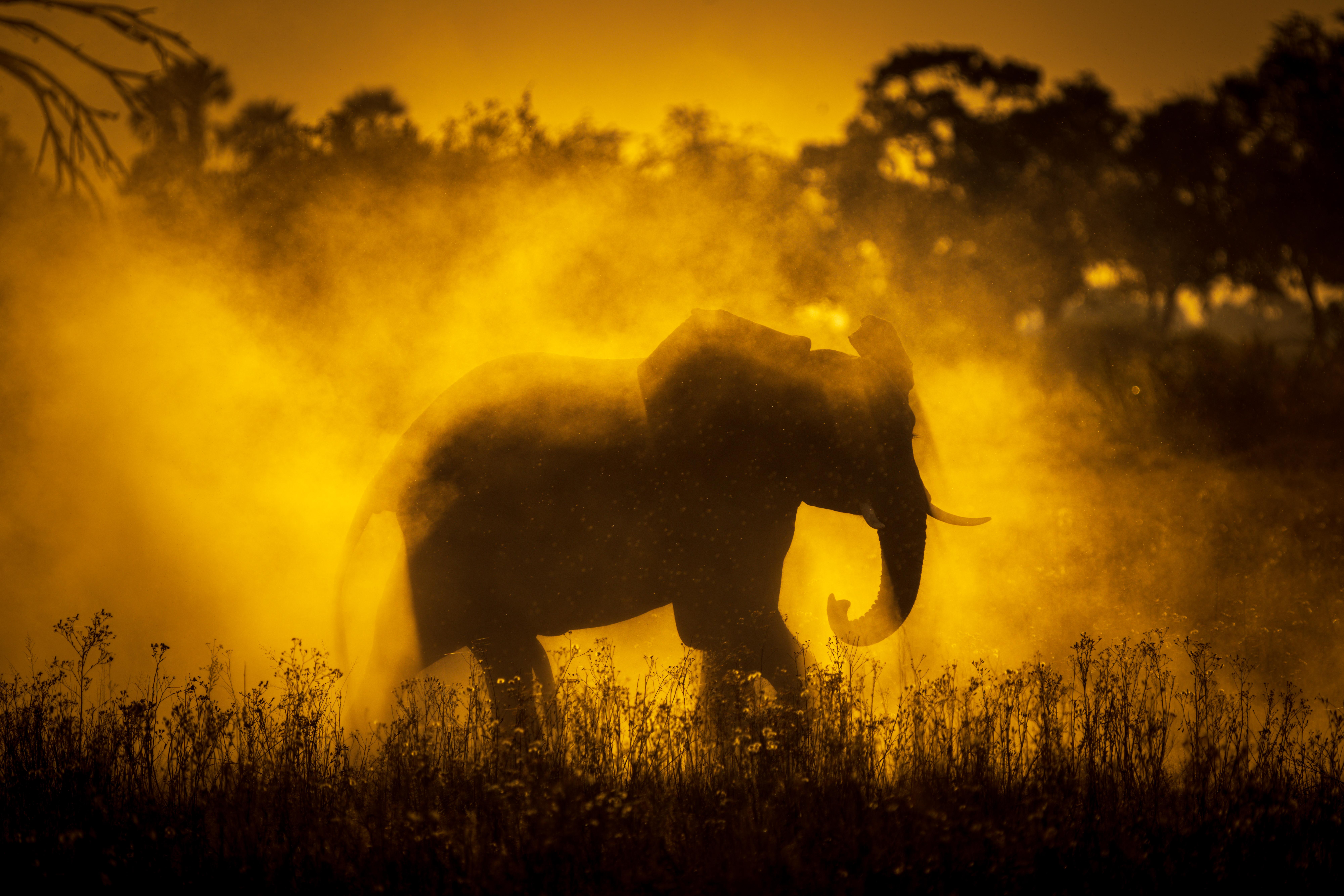 Botswana | Conservation International