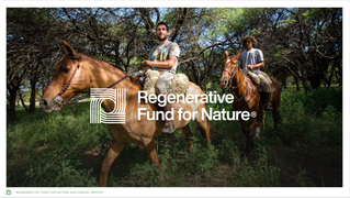 Regenerative Fund for Nature | Conservation International