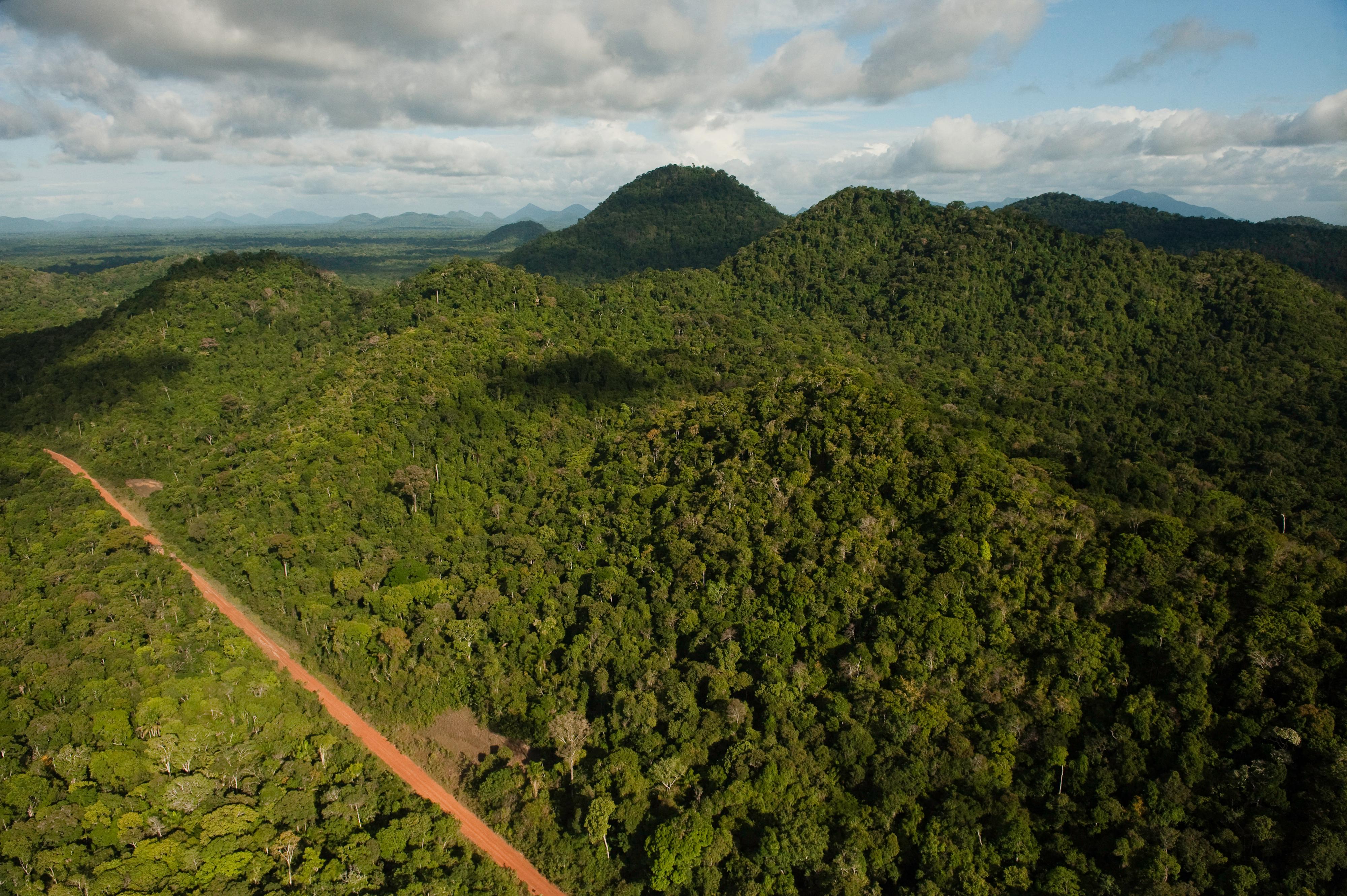 Climate Change Facts Conservation International