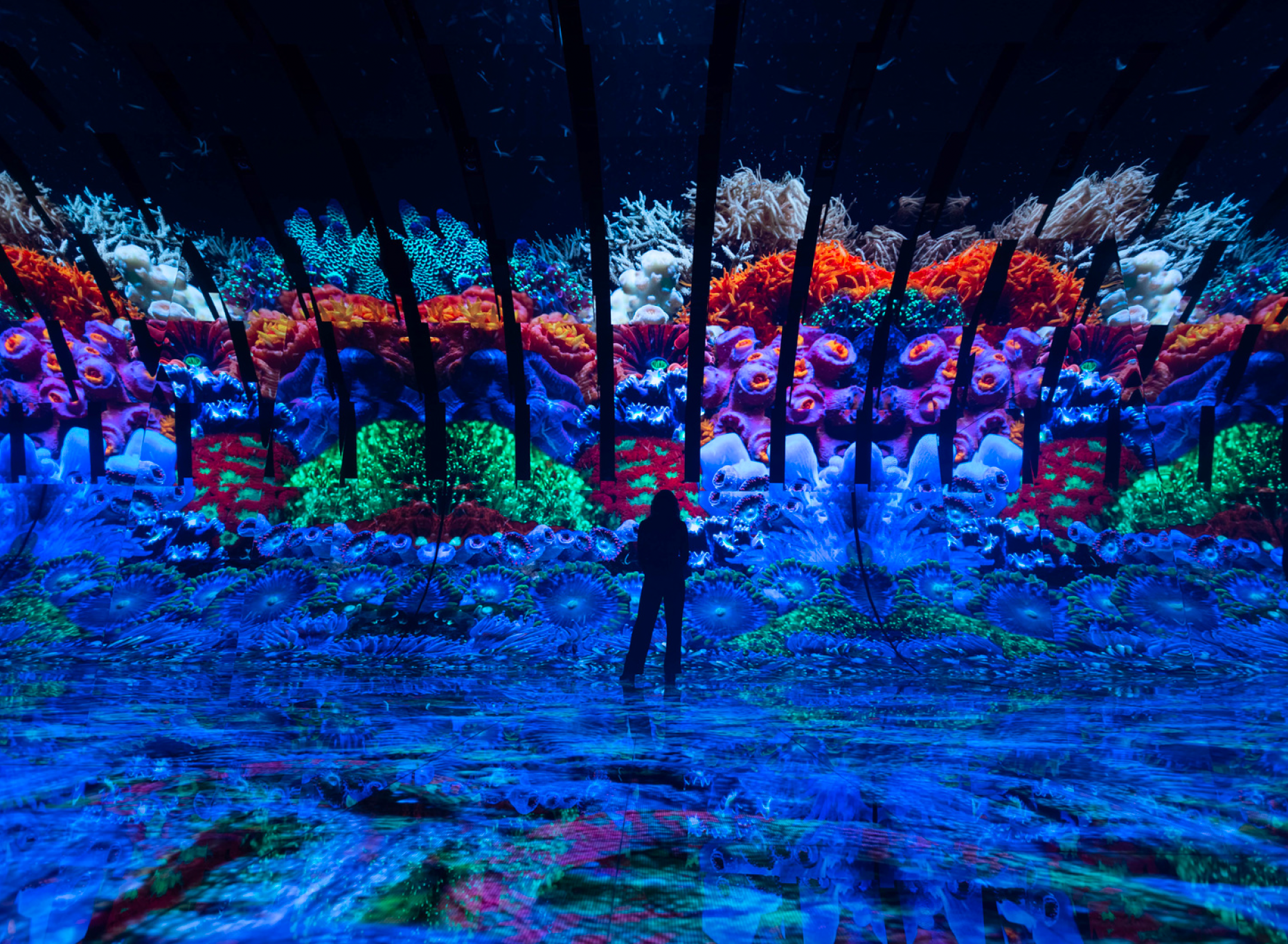 Plastic Pollution Crisis Takes Center Stage in New Exhibit, “The Blue ...