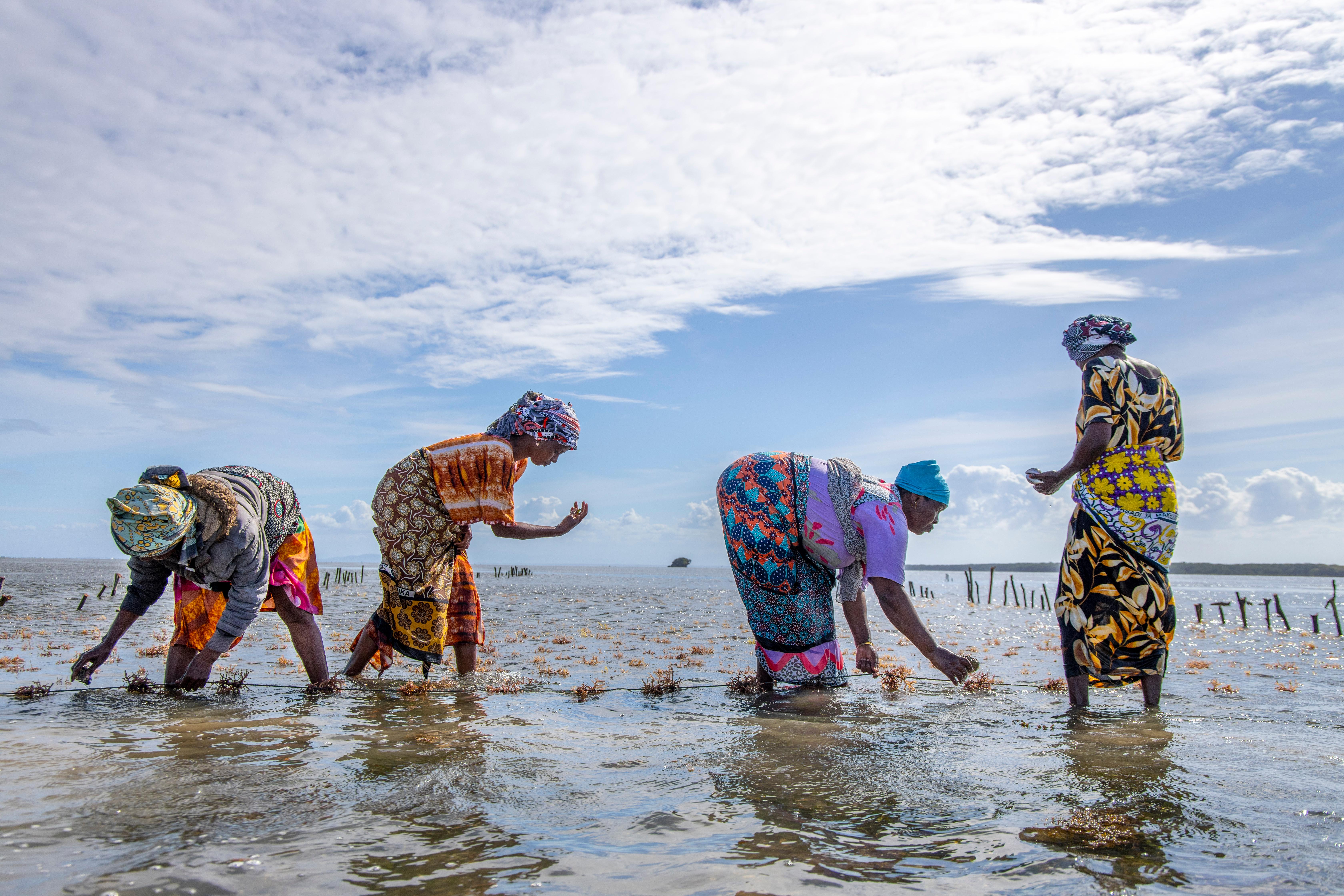 Elevating women’s leadership in coastal fishing communities ...