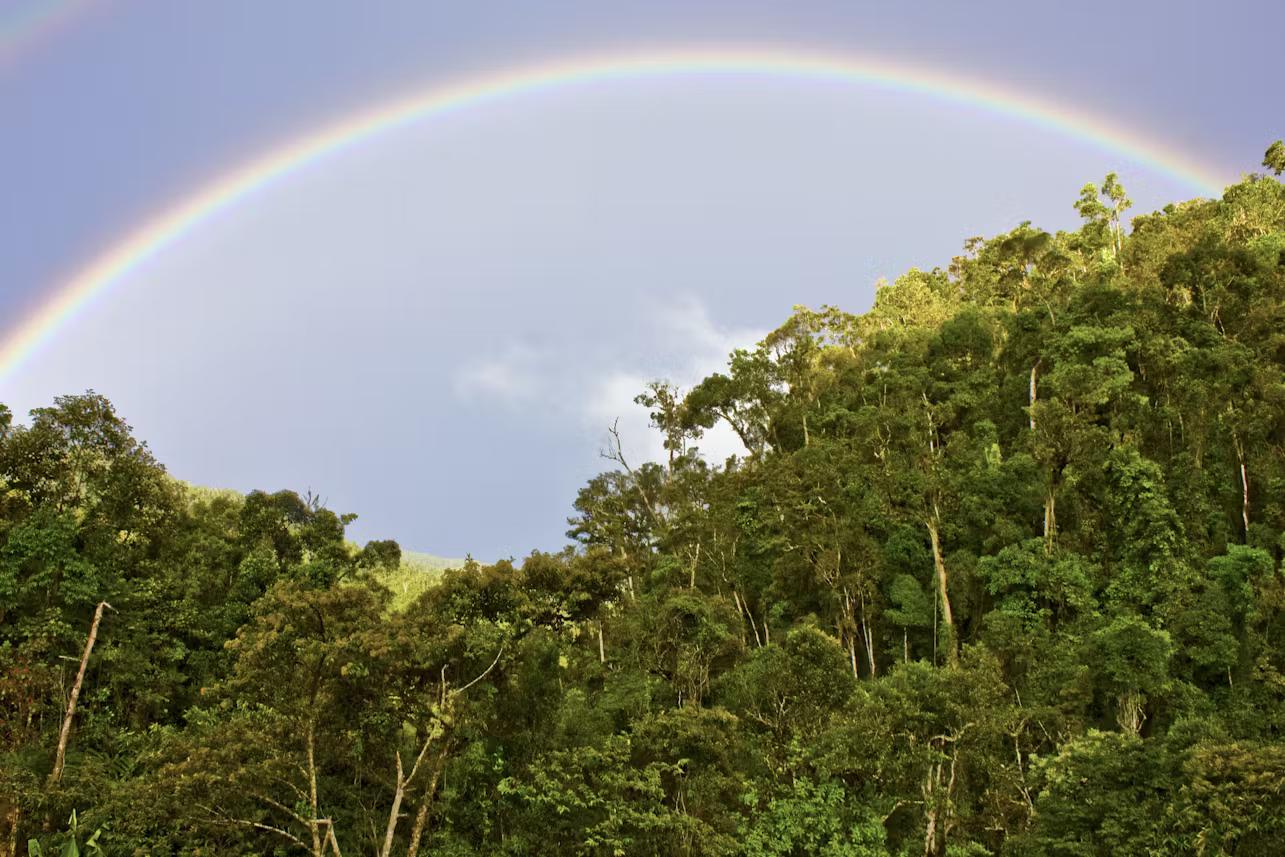 CI-GCF Agency | Conservation International