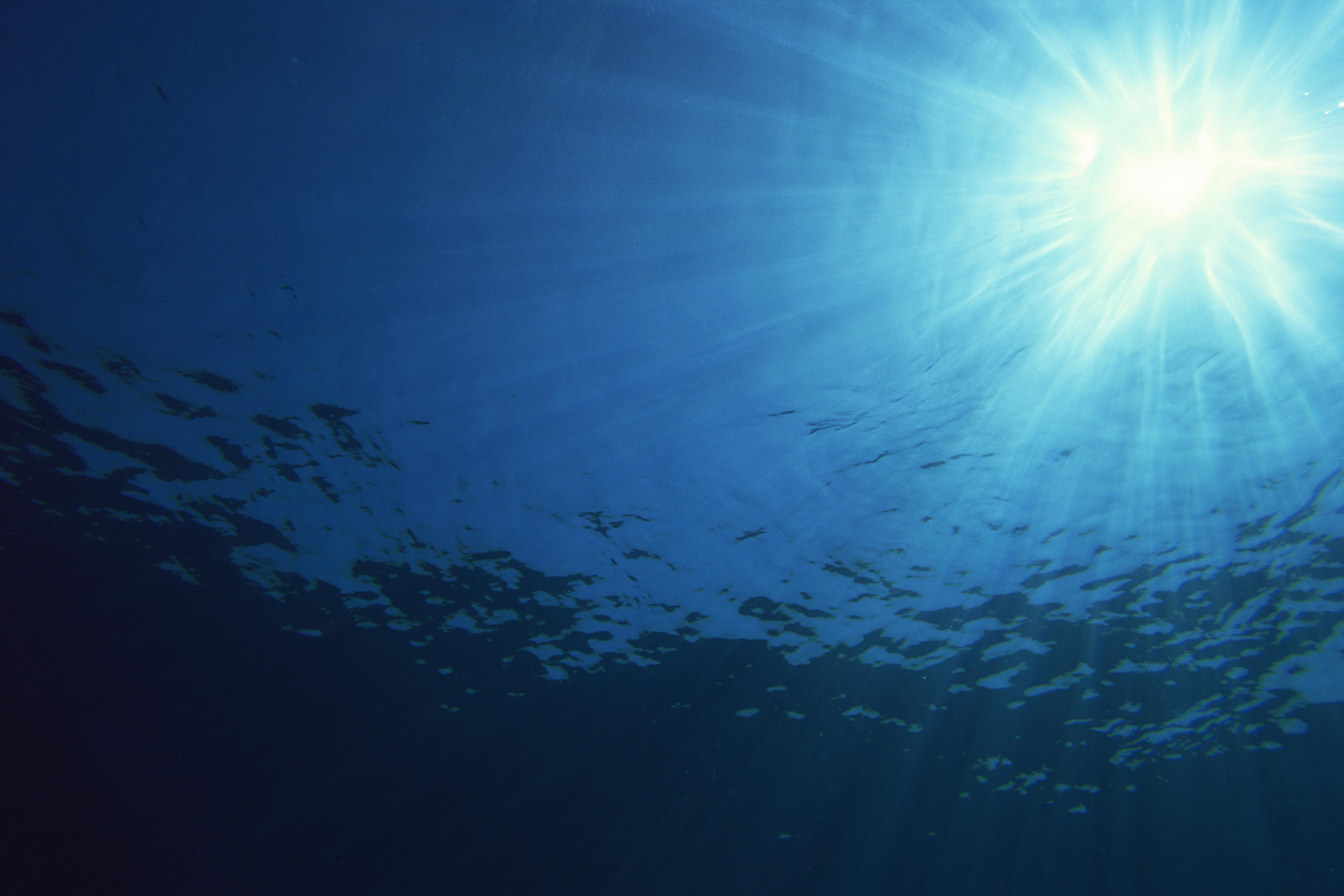 Why a new treaty to protect the high seas is a ‘game-changer ...