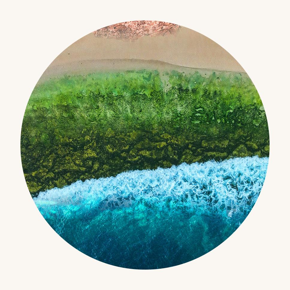 Donate to Conservation International | Conservation International