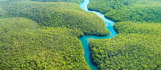 COP30: Increasing funding for the Amazon is Brazil’s historic ...
