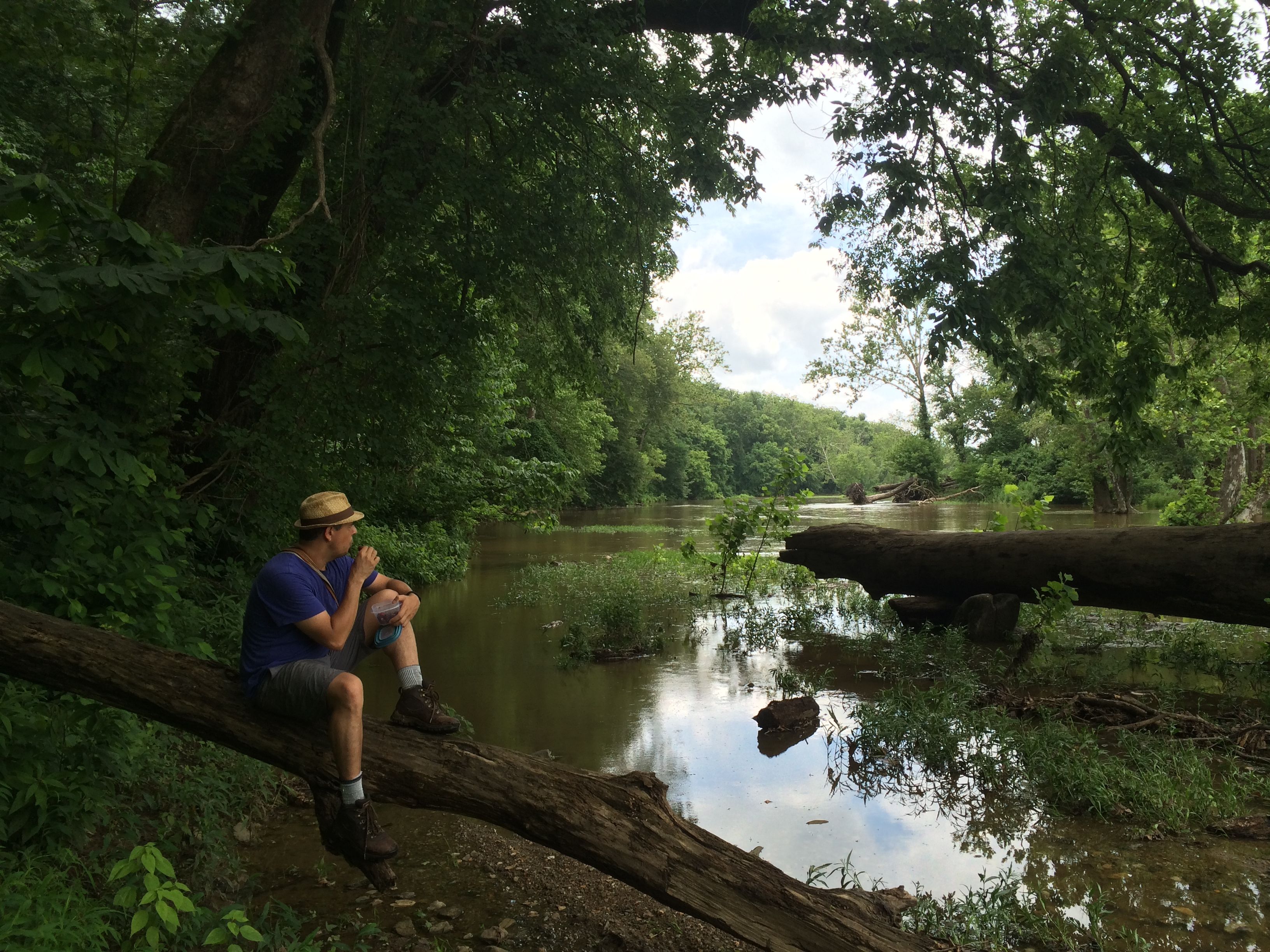 Meet a scientist: Using tech to advance wildlife conservation ...