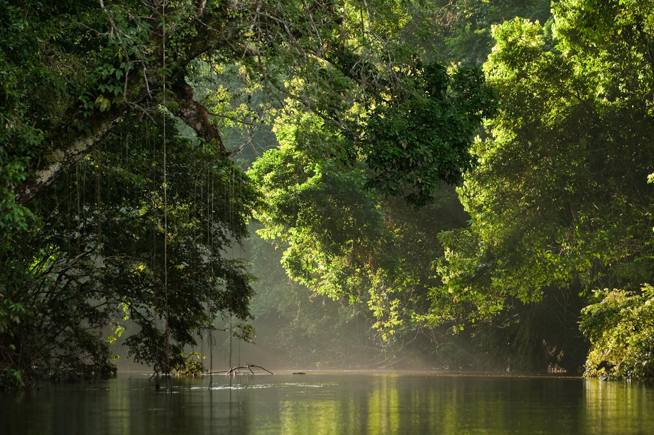 Study: Protect these places — or face climate doom | Conservation ...