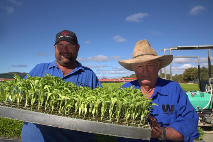 Stuart Dickson Produce | Premium wholesale fruit & veg, farmer-backed ...