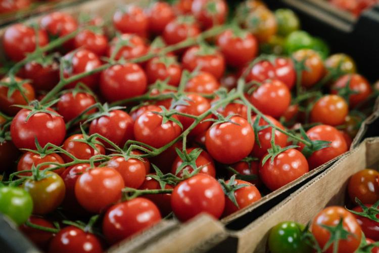 Stuart Dickson Produce | Premium wholesale fruit & veg, farmer-backed ...