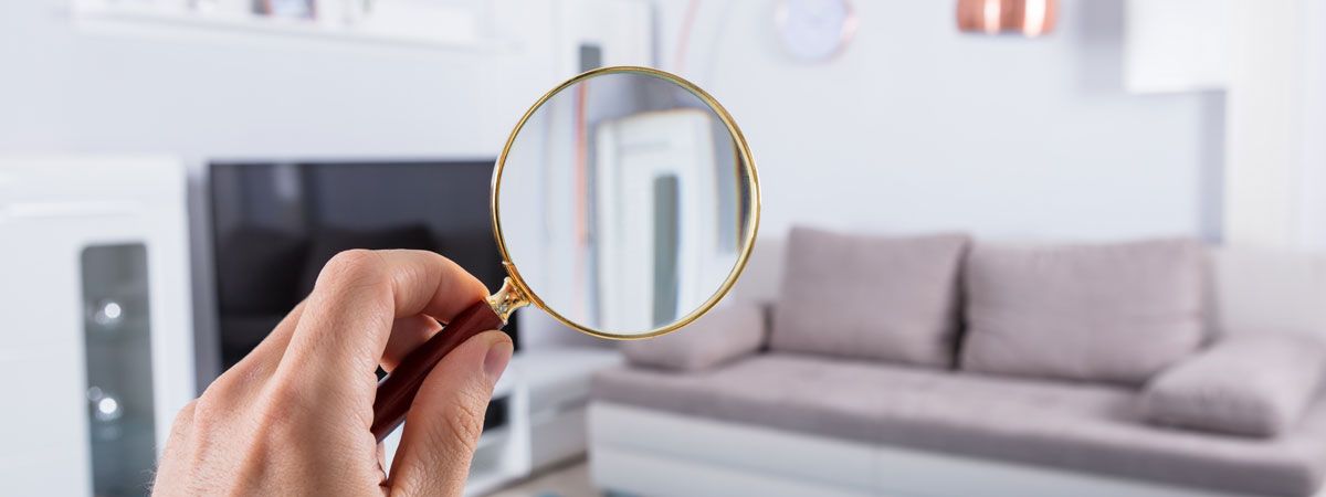 All you need to know about Snagging Survey