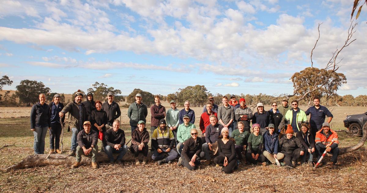 Creating Wildlife Corridors in Victoria, Australia | Land Life