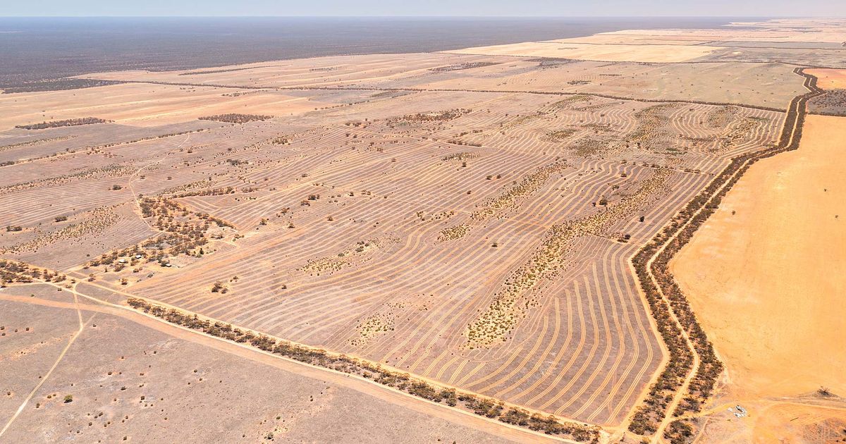 Degraded Land in Australia: Understanding Impact & Solutions | Land Life