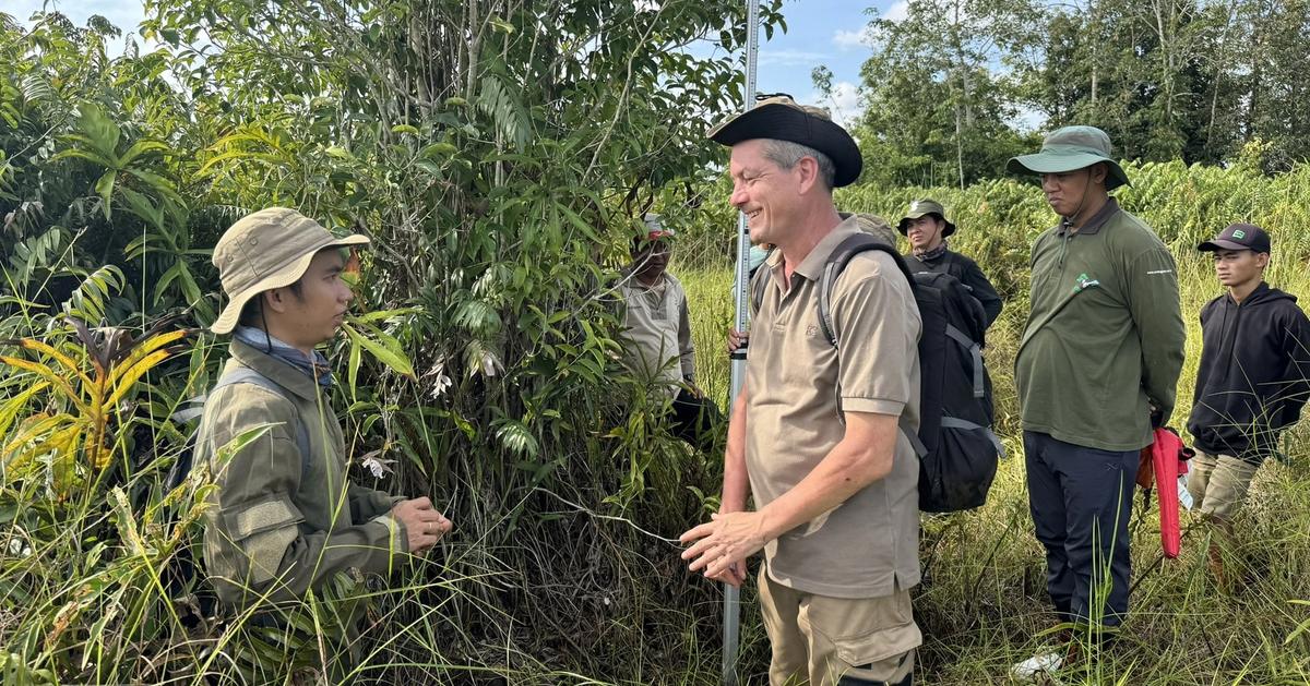 Corporate Social Responsibility Tree Planting | Land Life