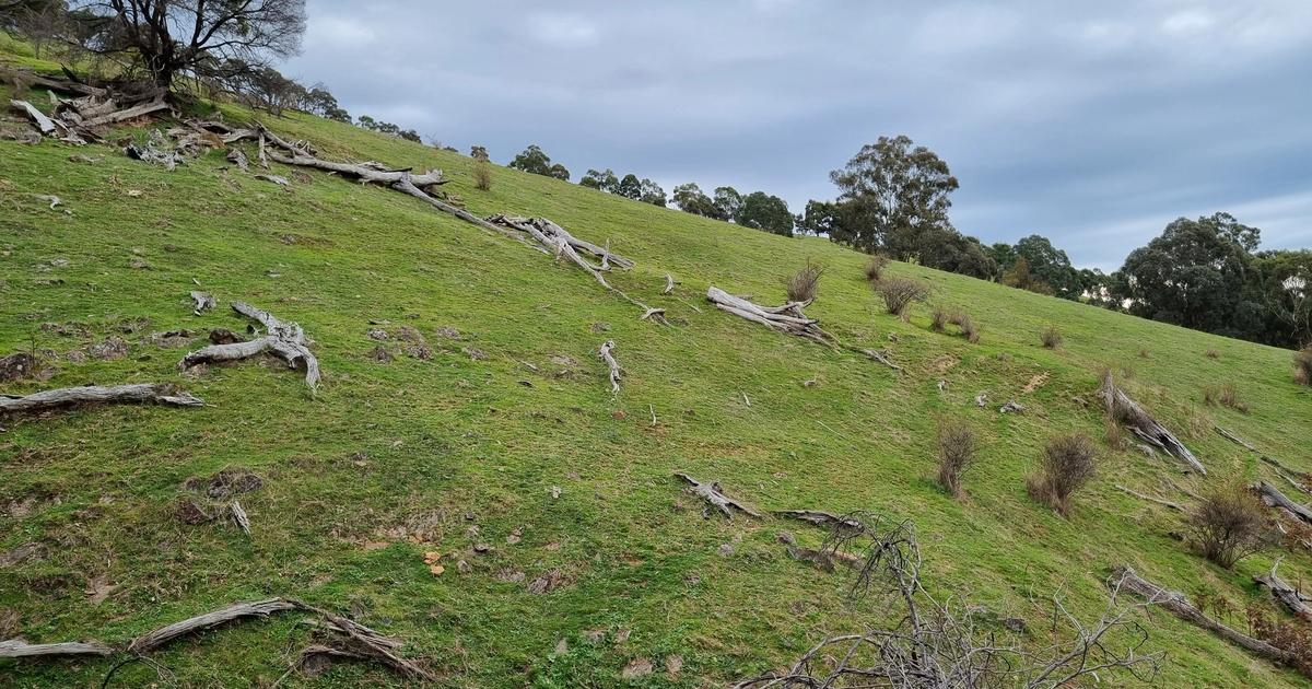 Conundrum Victoria | Carbon Project | Land Life | Land Life