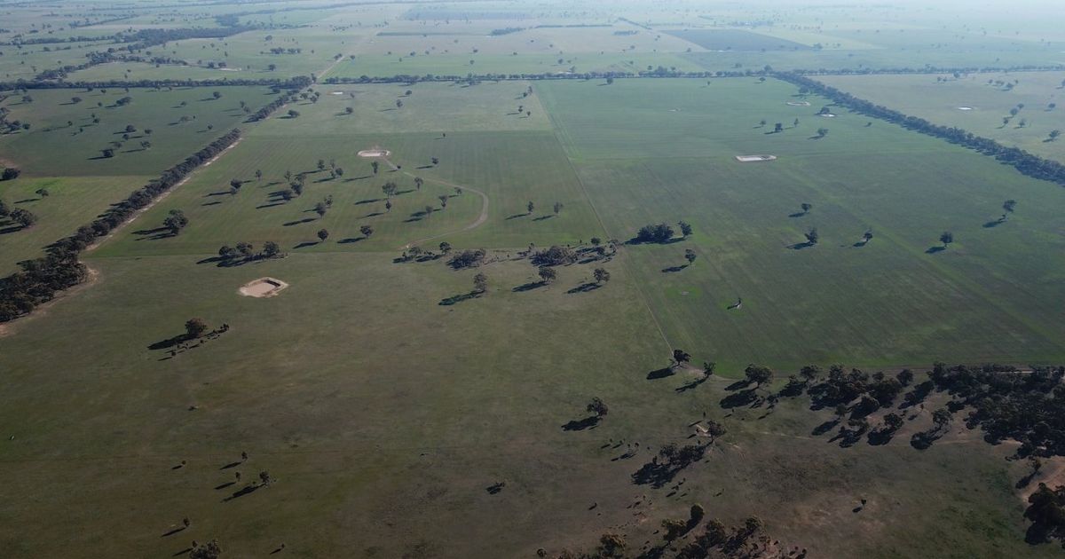 Degraded Land in Australia: Understanding Impact & Solutions | Land Life