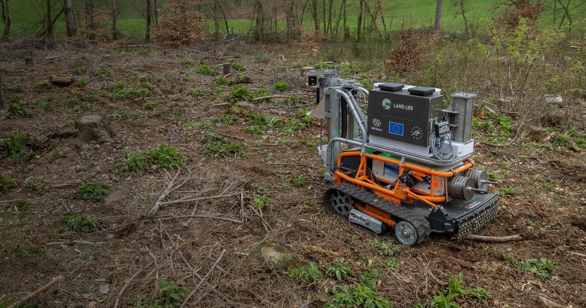 Revolutionizing Reforestation: Introducing the Tree Seeding Robot ...