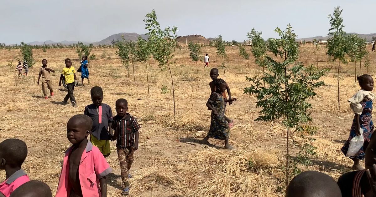Building a Green Refugee Camp with UNHCR | Land Life
