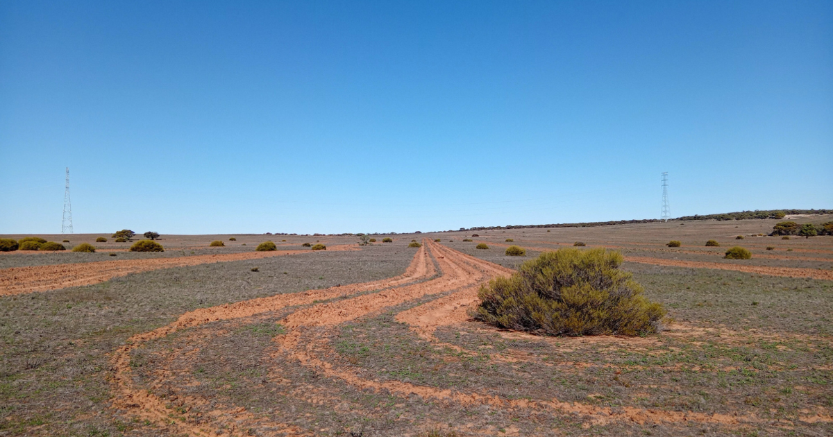 Burton South Australia | Carbon Removal Project | Land Life