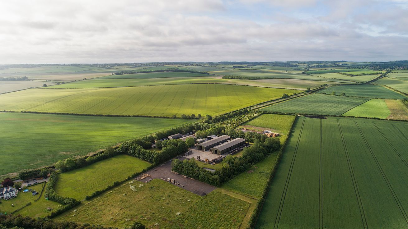 Strength and Beauty of Structural Oak Beams - Whippletree