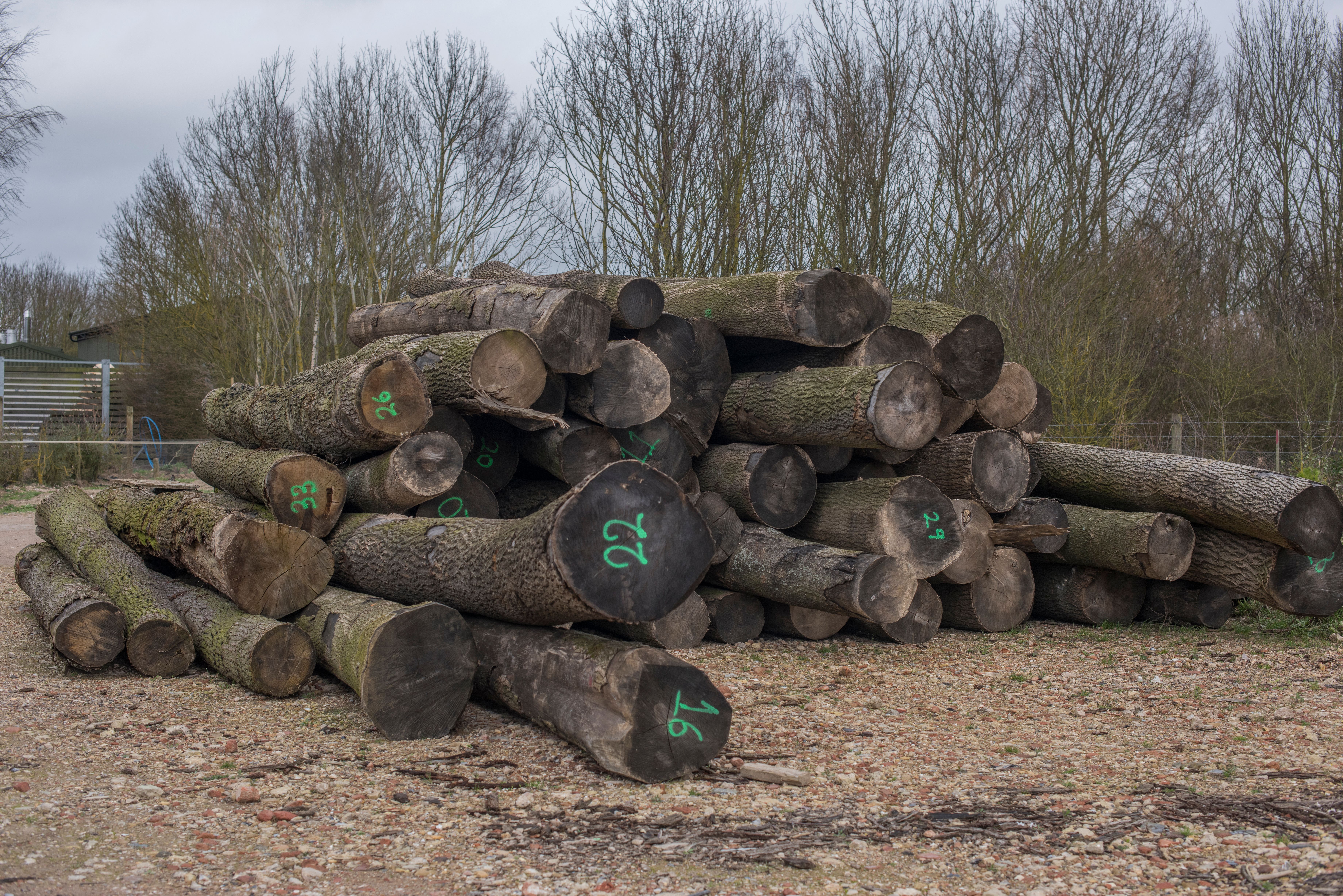 Gallery - Whippletree - Find out more today - Whippletree