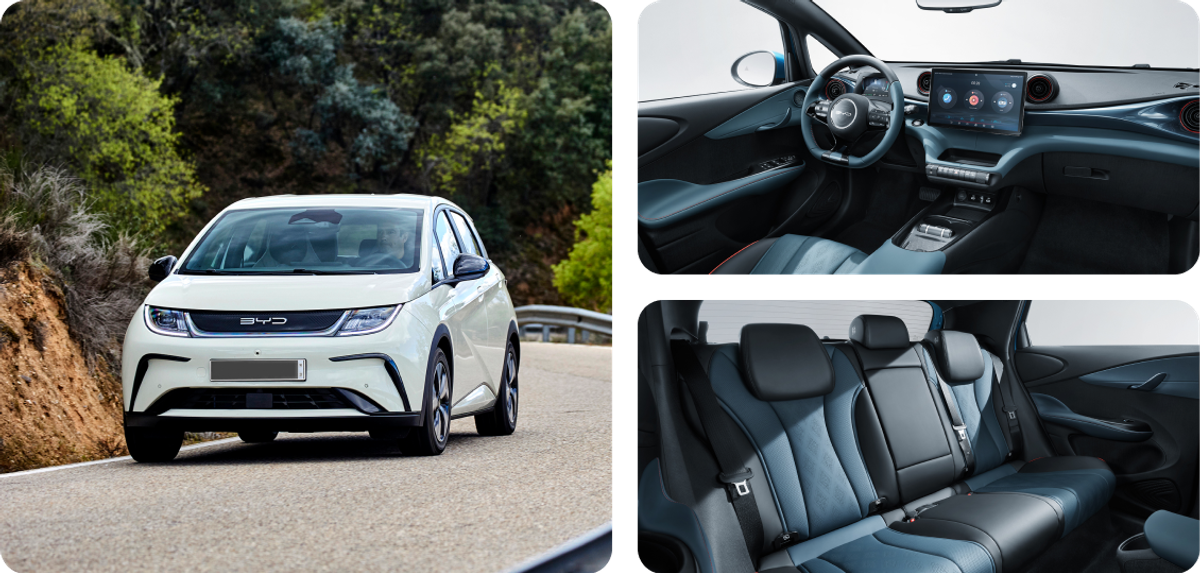 BYD: Leading Electric Car Manufacturer | Octopus EV