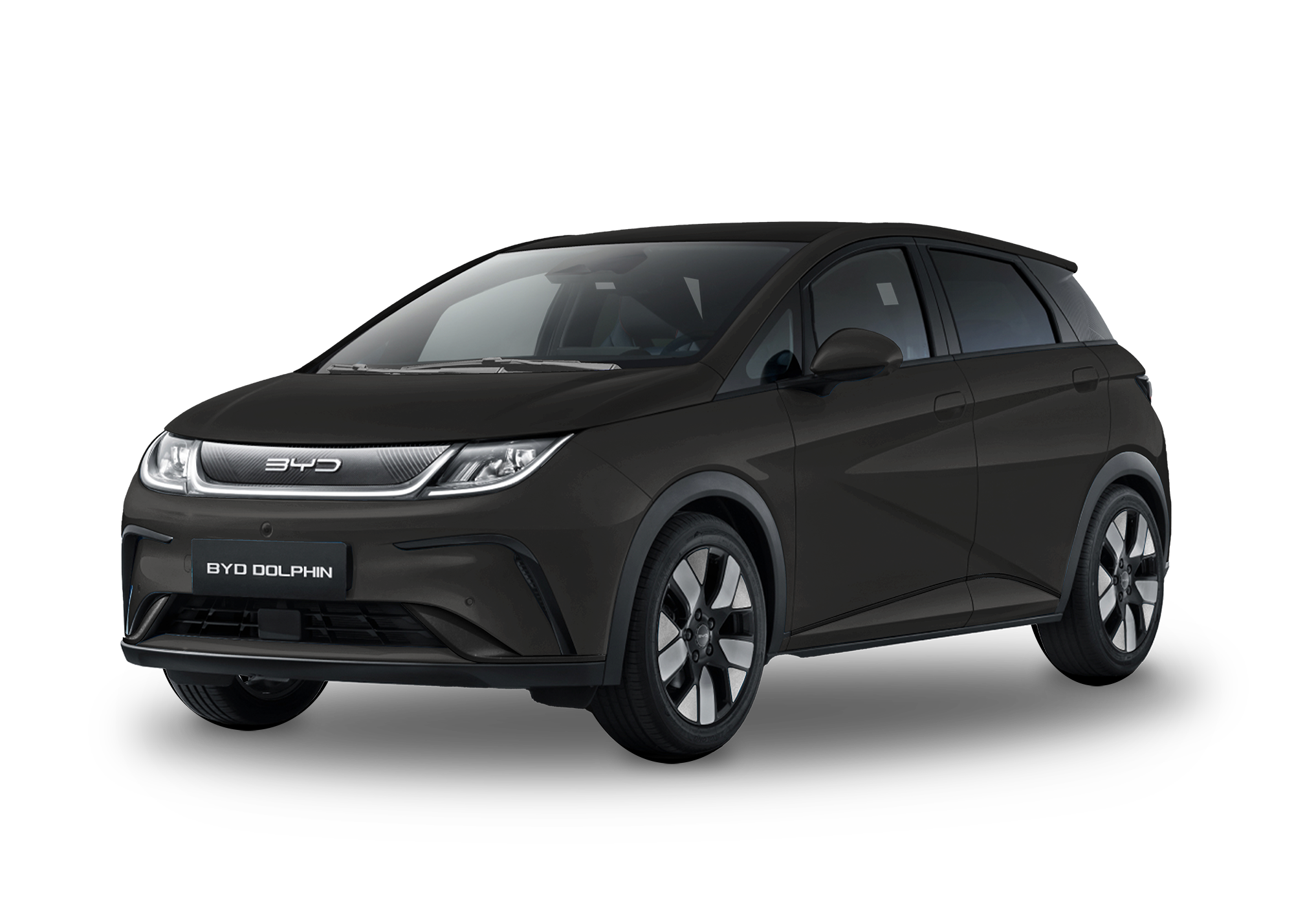 BYD DOLPHIN | Octopus Electric Vehicles