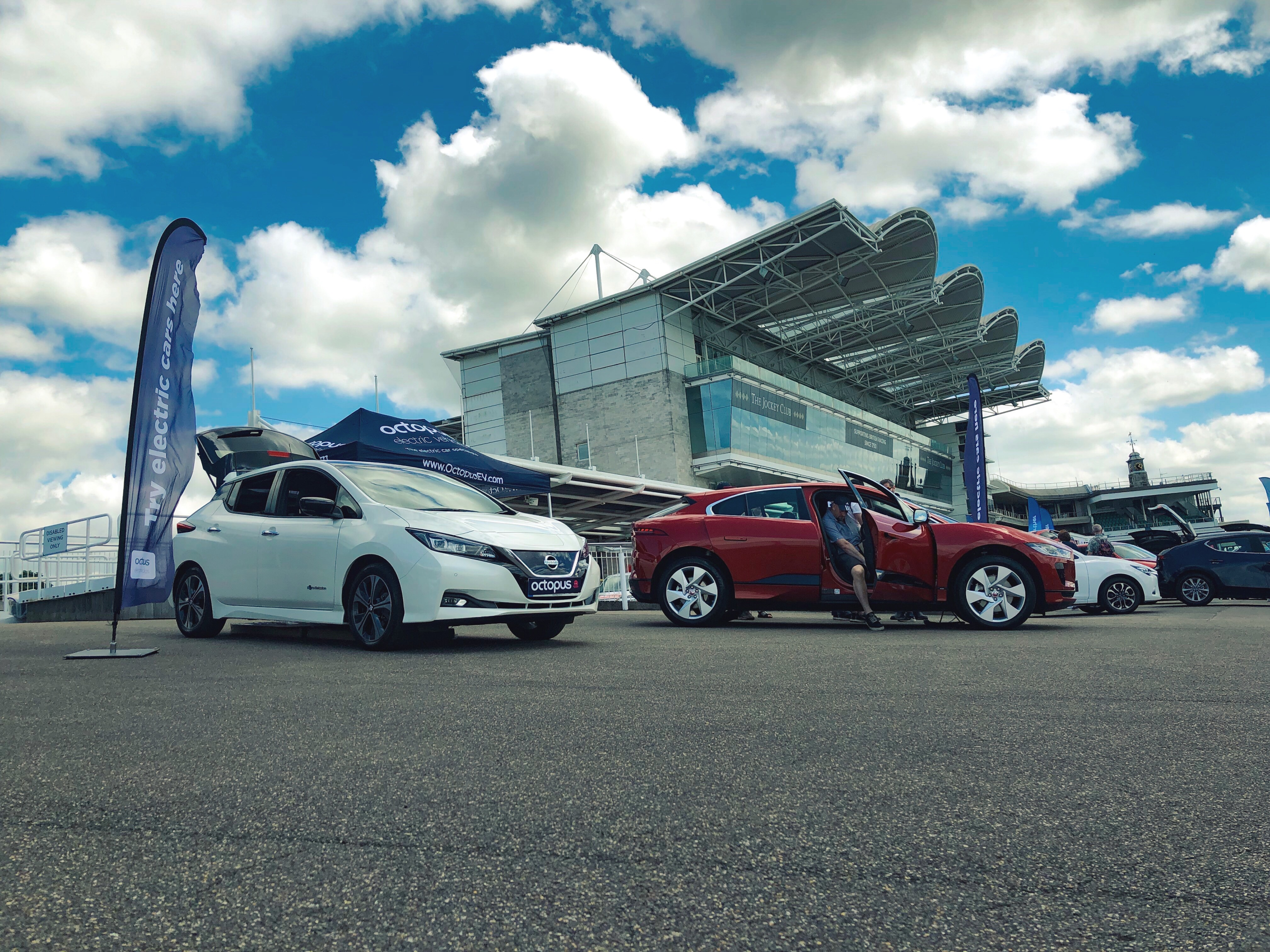 Types of electric vehicles explained | Octopus EV