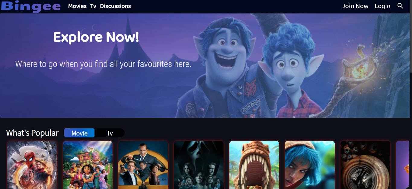 Ayush Niroula- Full Stack Developer