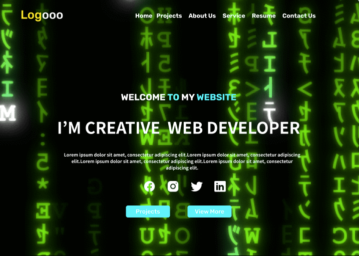 Ayush Niroula- Full Stack Developer