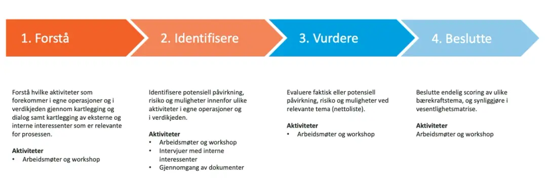 Dobbel vesentlighetsanalyse | Norengros