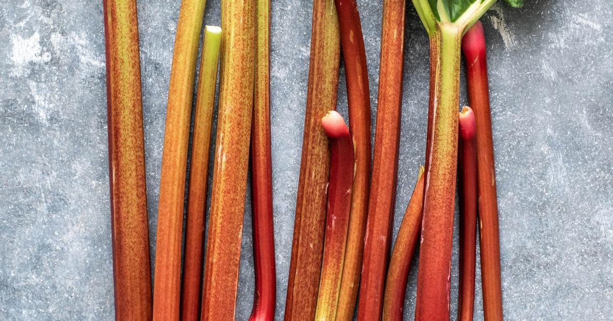 rabarbra – sesong·info | norsk frukt og bær
