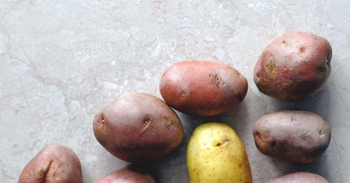potet – sesong·info | norske grønnsaker