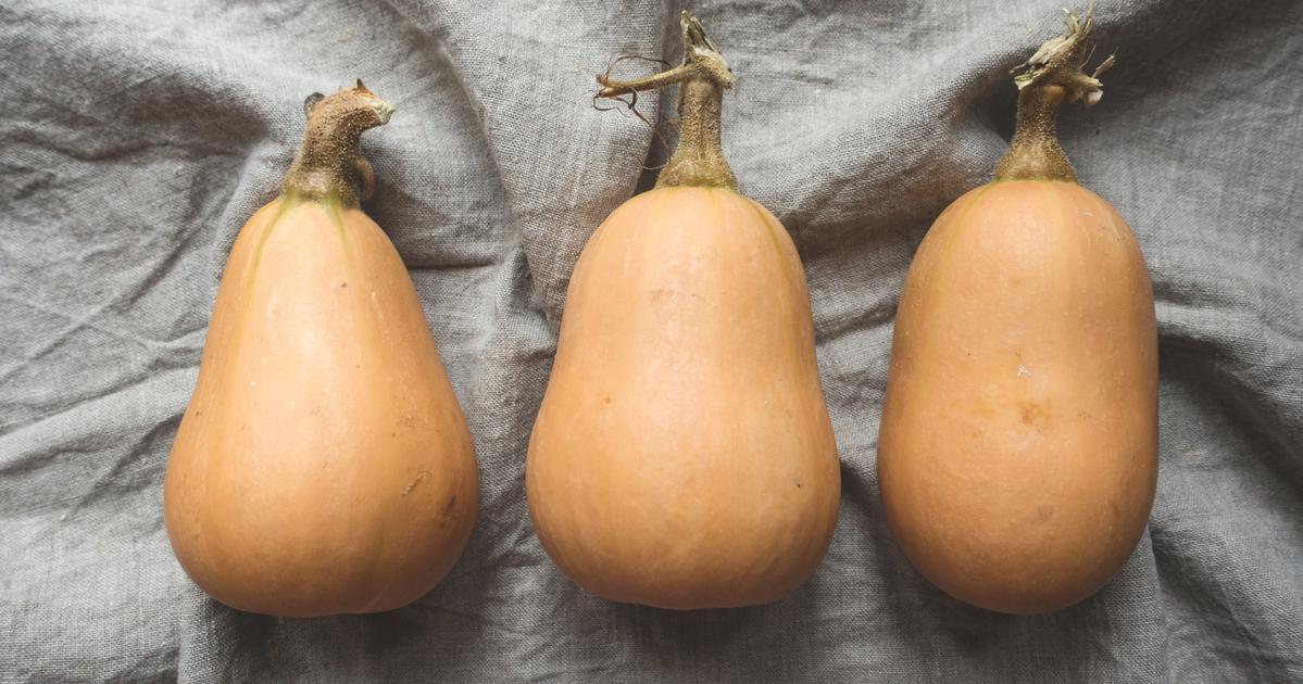 gresskar – sesong·info | norske grønnsaker