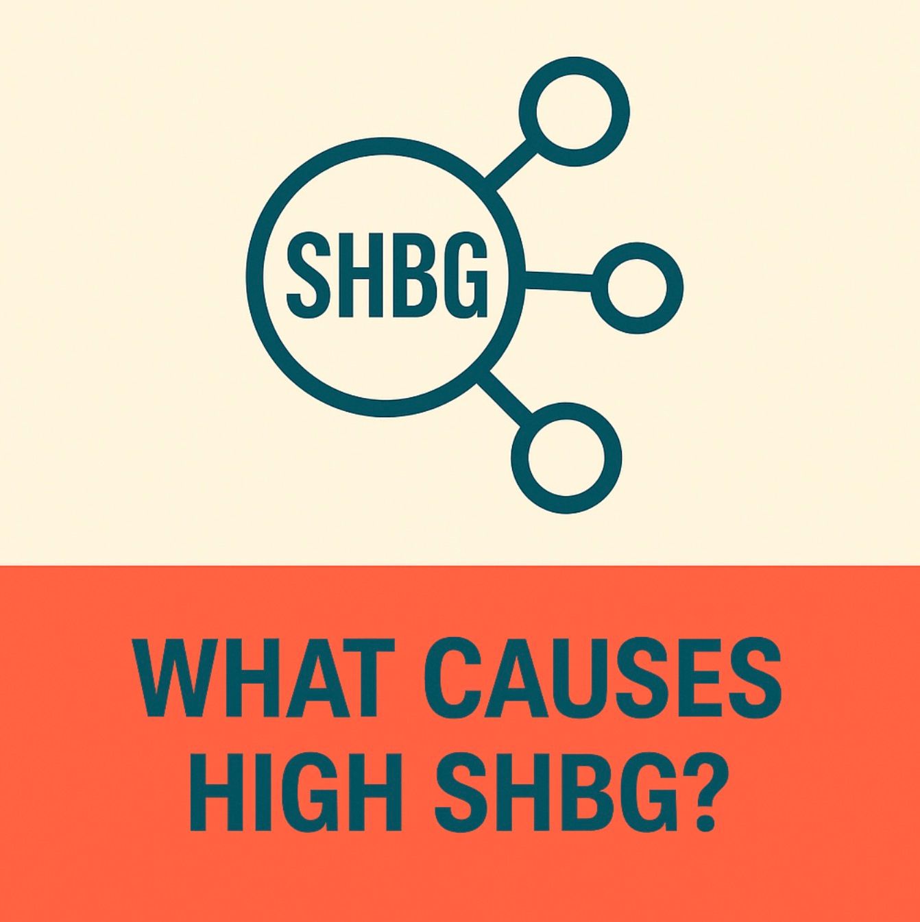 What Causes High SHBG? Understanding the Factors Behind Sex Hormone ...