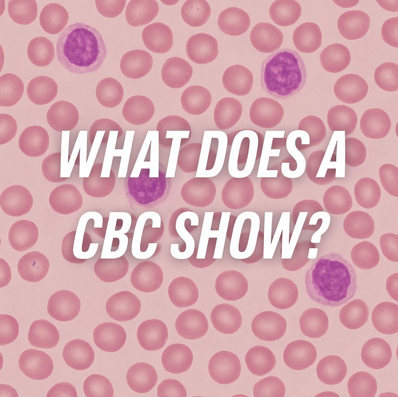 What Does a CBC Show? A Complete Guide to the Test and Its Importance ...