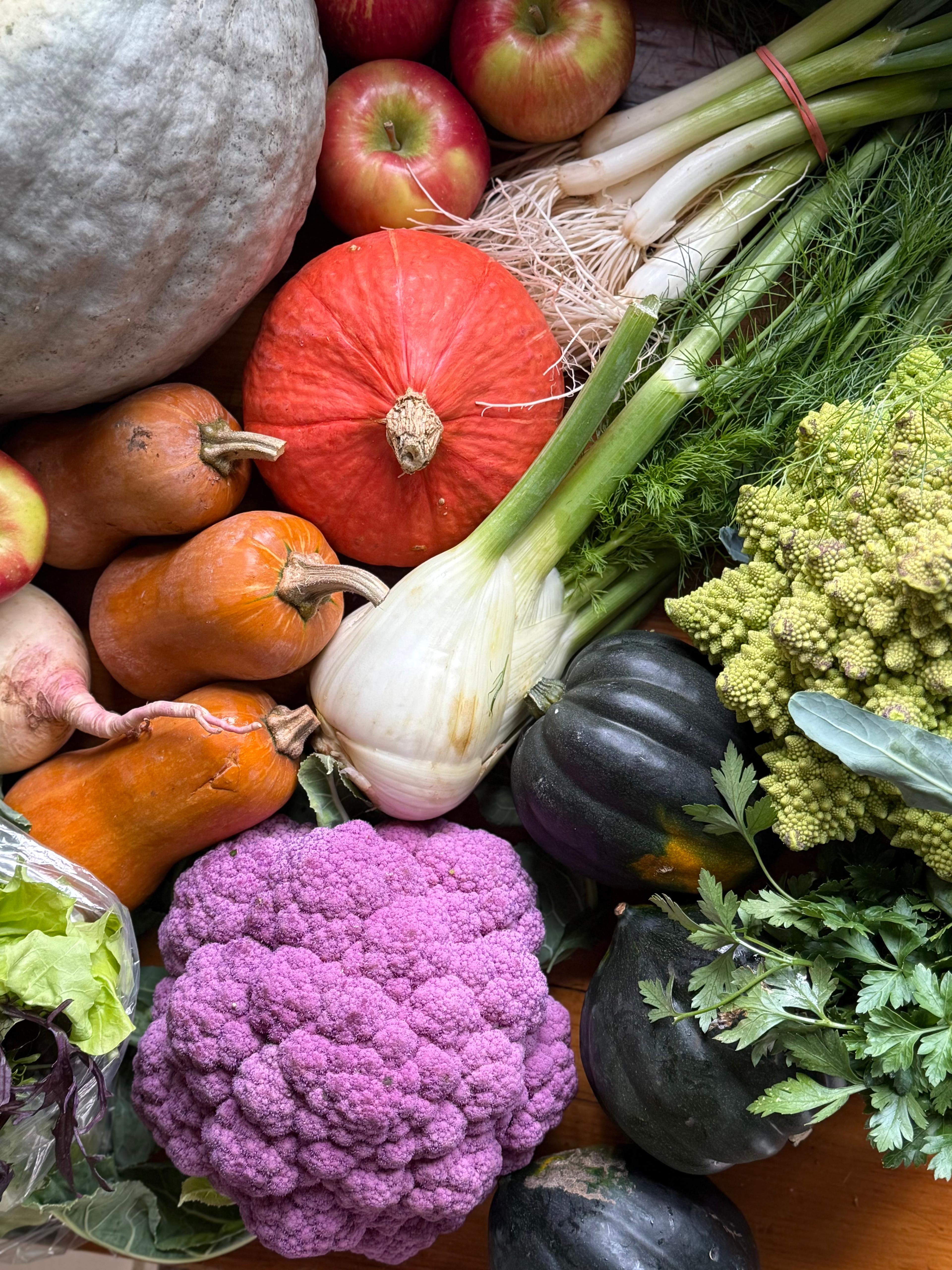 The Best November Produce to Buy at the Farmers Market