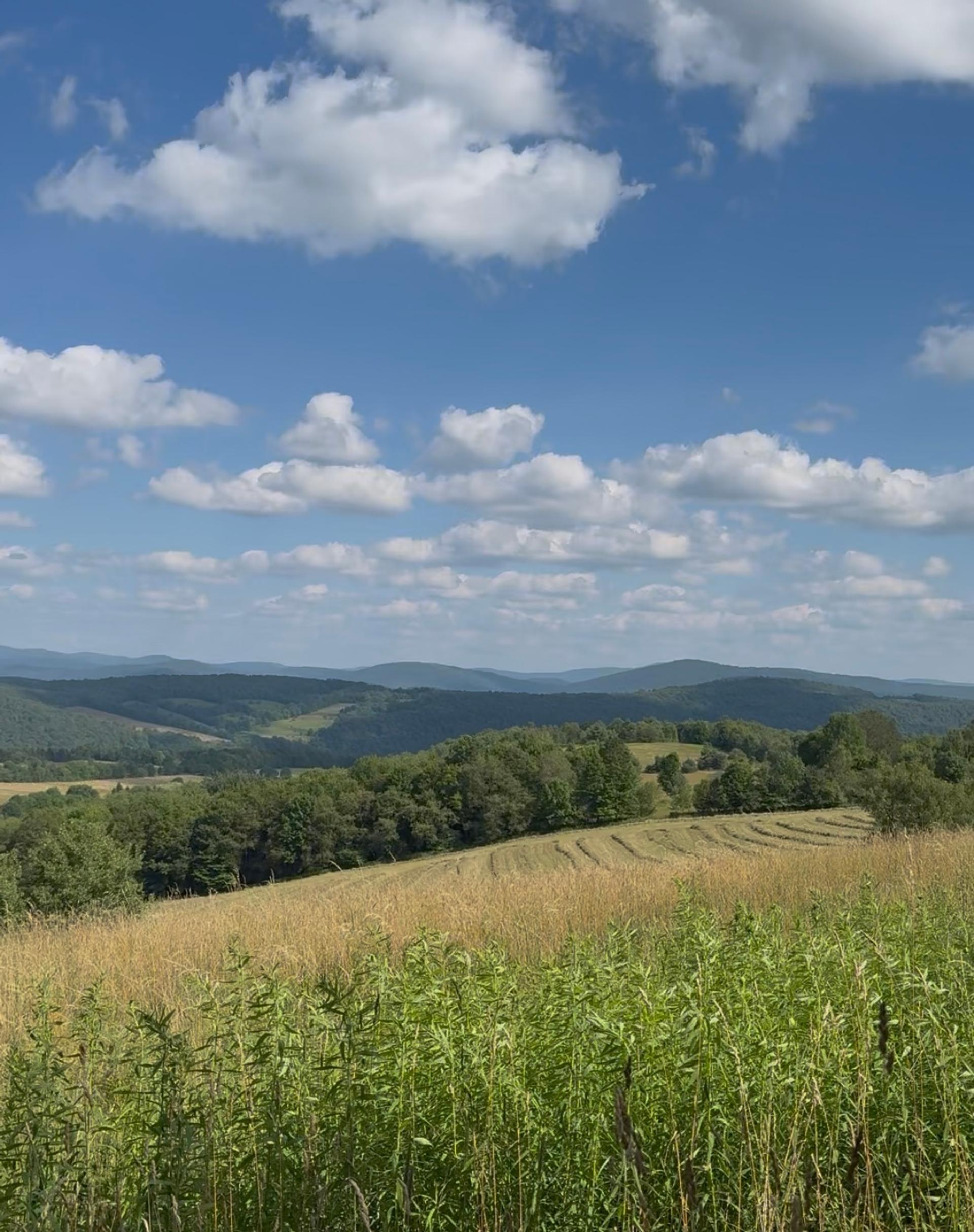 How I Found Home on a Catskills Farm
