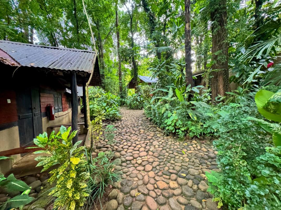 Borderlands Eco Lodge | Hotels in Kitulgala | Rapid Adventures