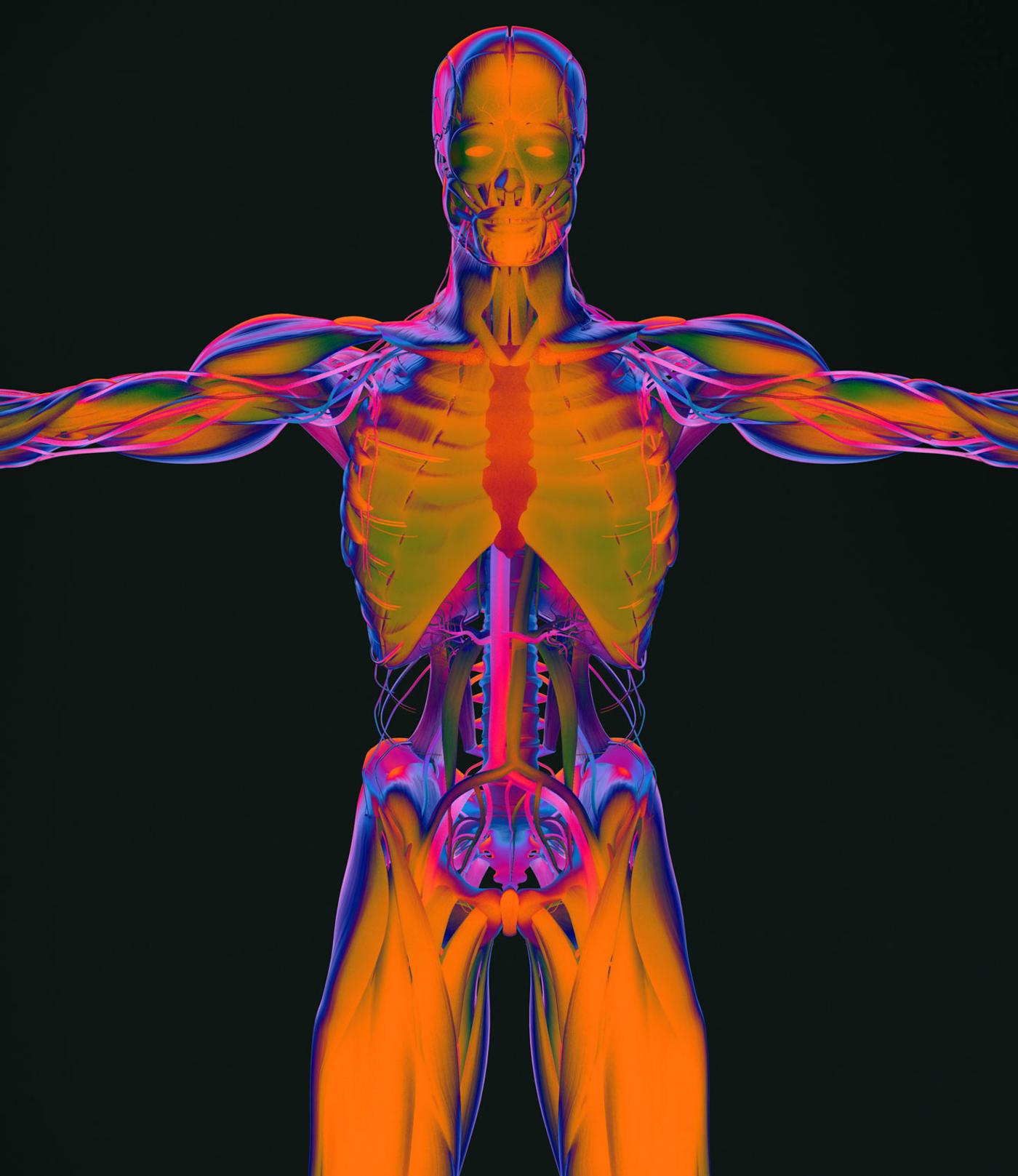 Nervous System 101
