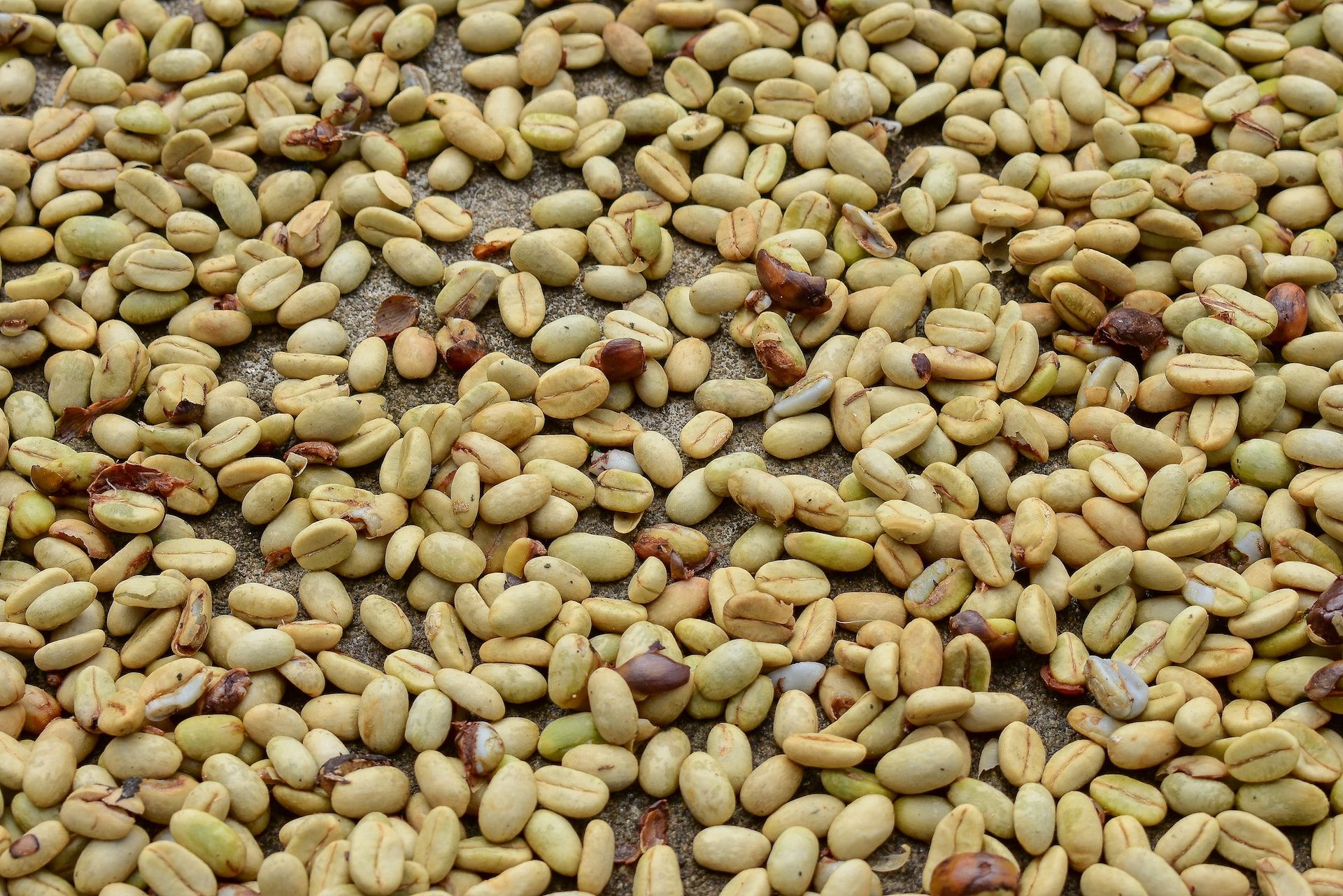 What is Coffee?