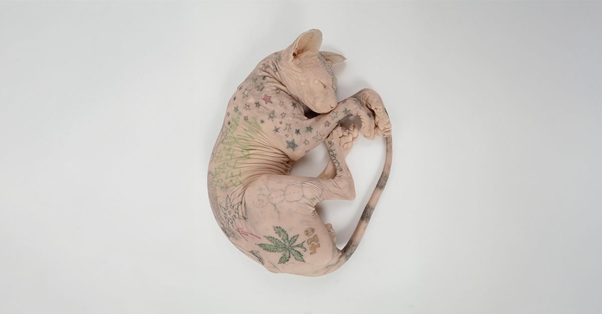 The Leif Jones Interview | Welcome.jpeg