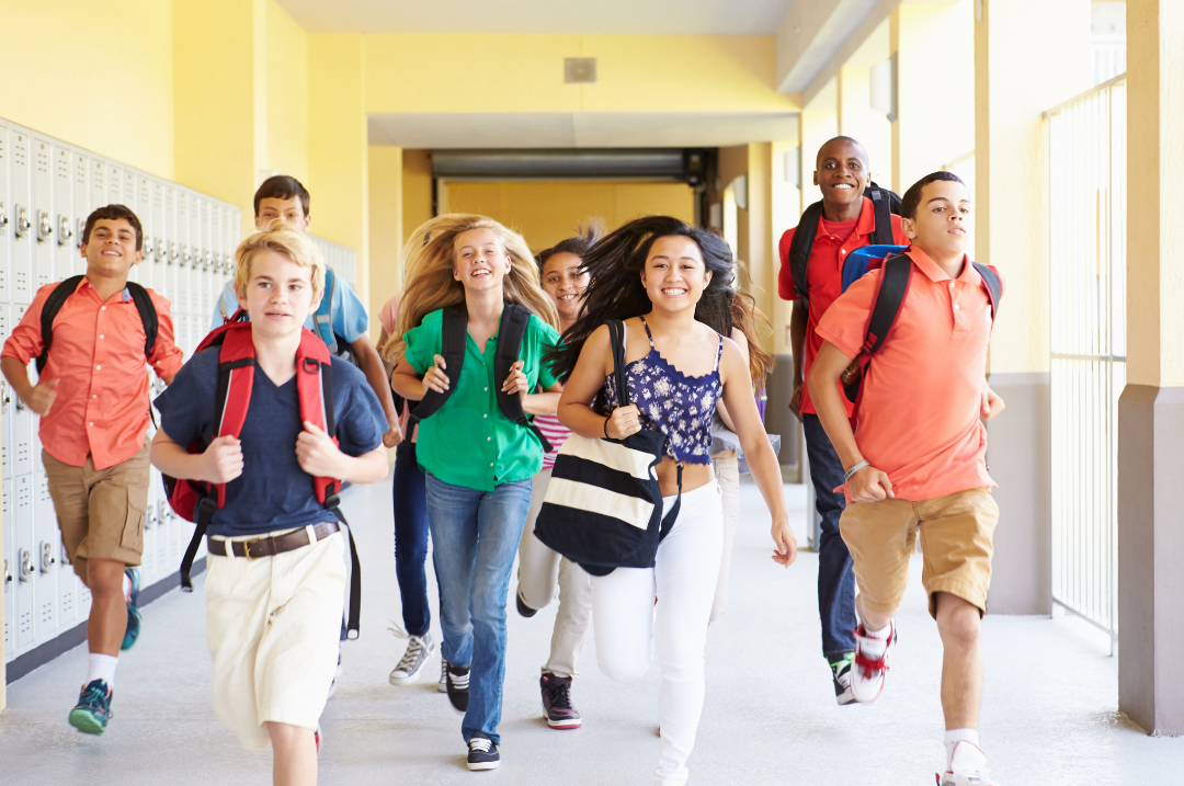 NYC Public High School Admissions Results 2020-2021 [OVERVIEW] | Ivy ...