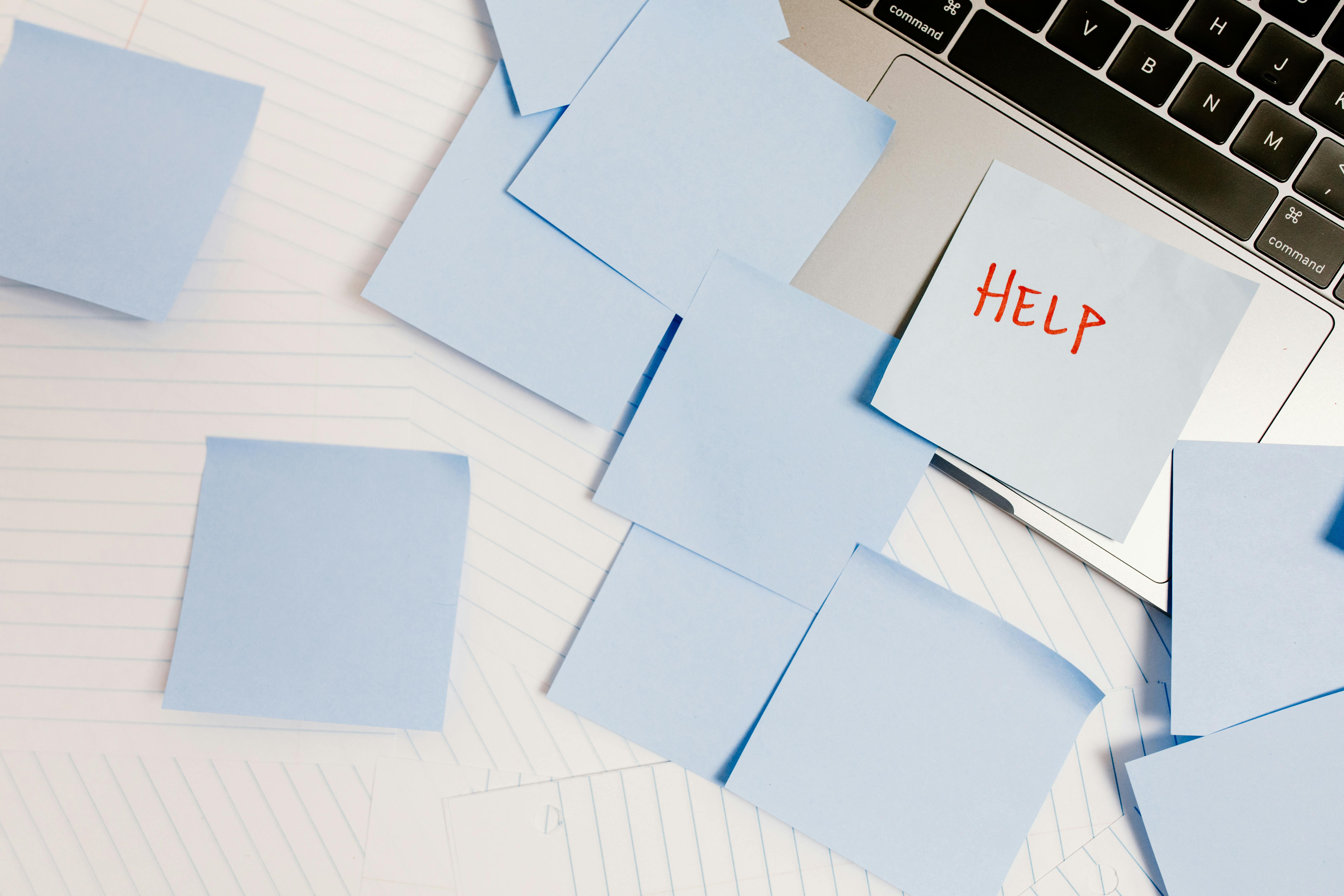 NYC High School Admissions Priorities | Ivy Tutors Network | Ivy Tutors ...