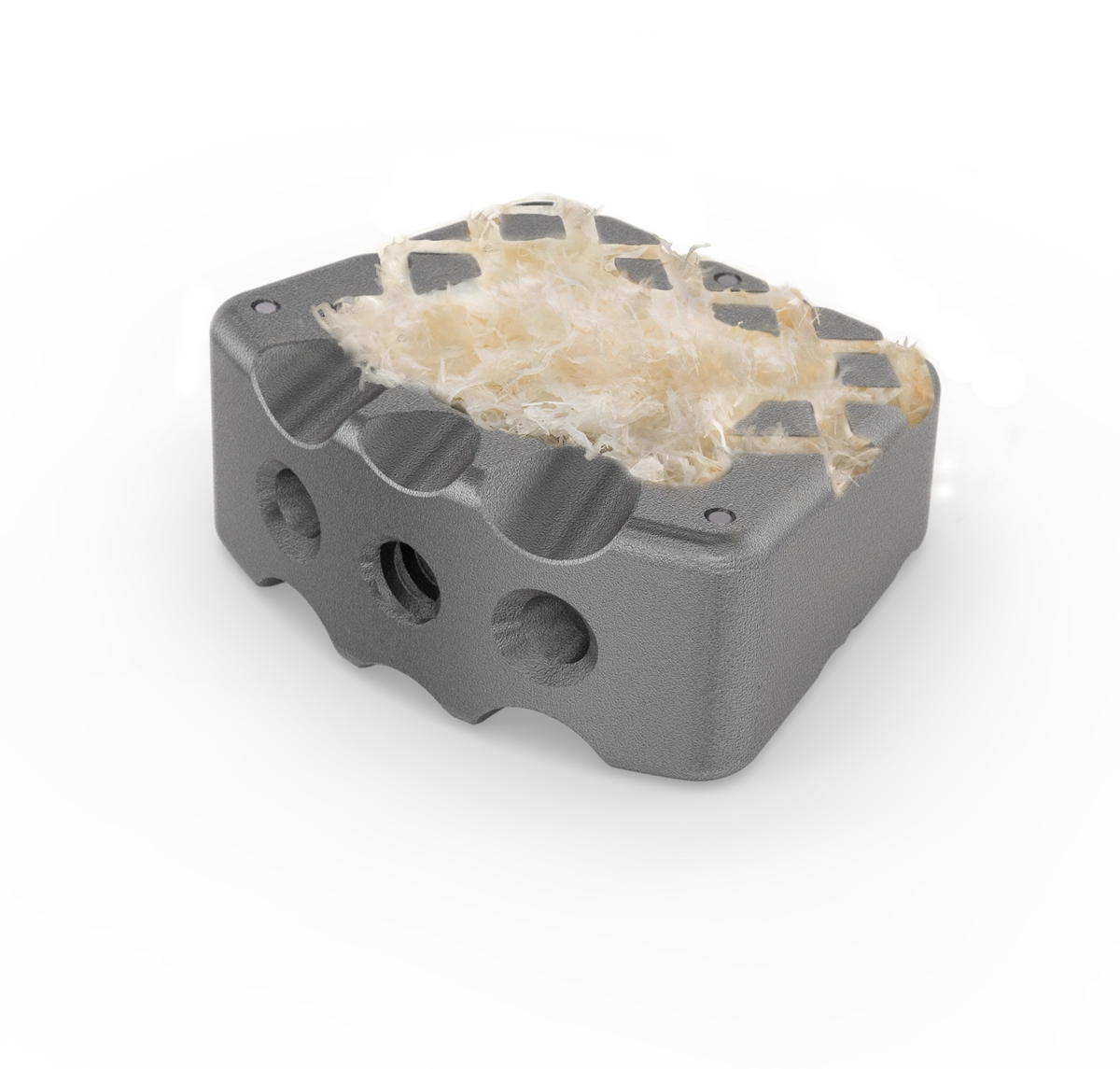 Shoreline RT® | SeaSpine.com